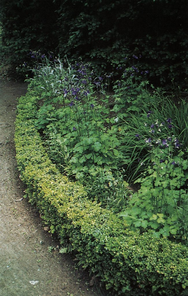 Rabatter och planteringar - Trädgårdsarkitekt Per Christenson