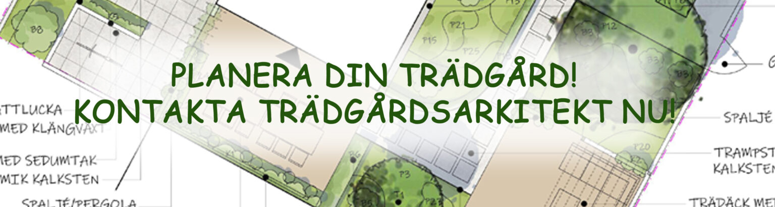Rabatter och planteringar - Trädgårdsarkitekt Per Christenson